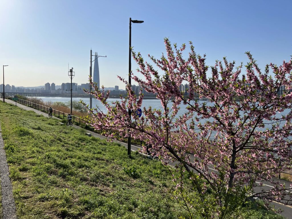 Emotion(Styled), Props 전달하기(Typescript) - WORLD IS WIDE